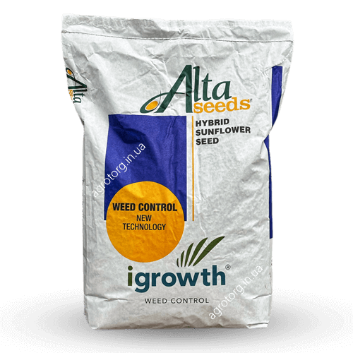 Соняшник Хайсан 232 ІТХО Альта Сідз